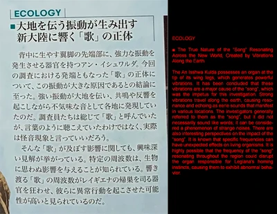 Blog de usuário:M1G4D1N0/Monster Hunter: Shara Ishvalda Mimindo ...