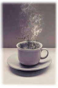 Fundação SCP | Crossverse Wiki | Fandom