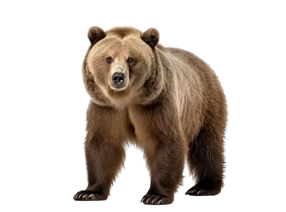 Urso-pardo | Crossverse Wiki | Fandom