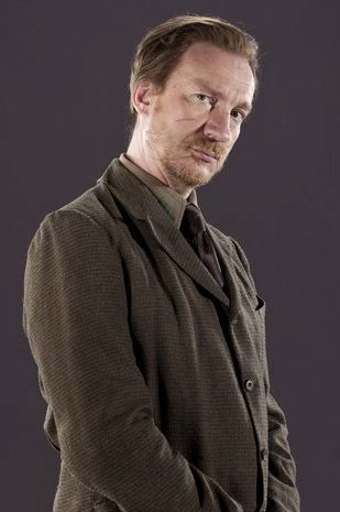 Remus Lupin | Crossverse Wiki | Fandom