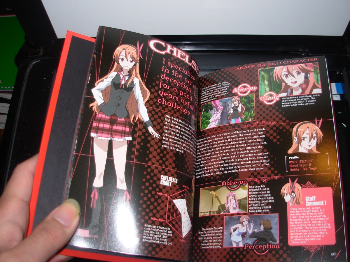 Akame ga Kill Red Book | AnimeVice Wiki | Fandom