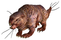 Boronites | Animorph alternate universe Wiki | Fandom