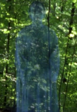 Ellimist | Seerowpedia | Fandom