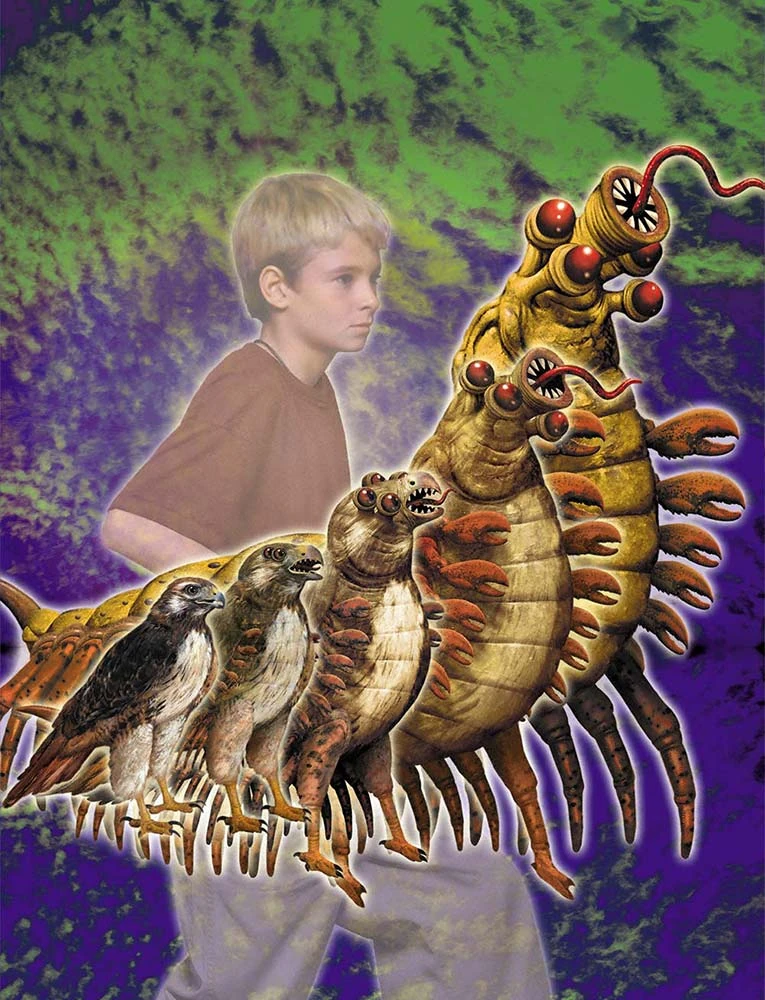 Taxxon | Gallery | Seerowpedia | Fandom