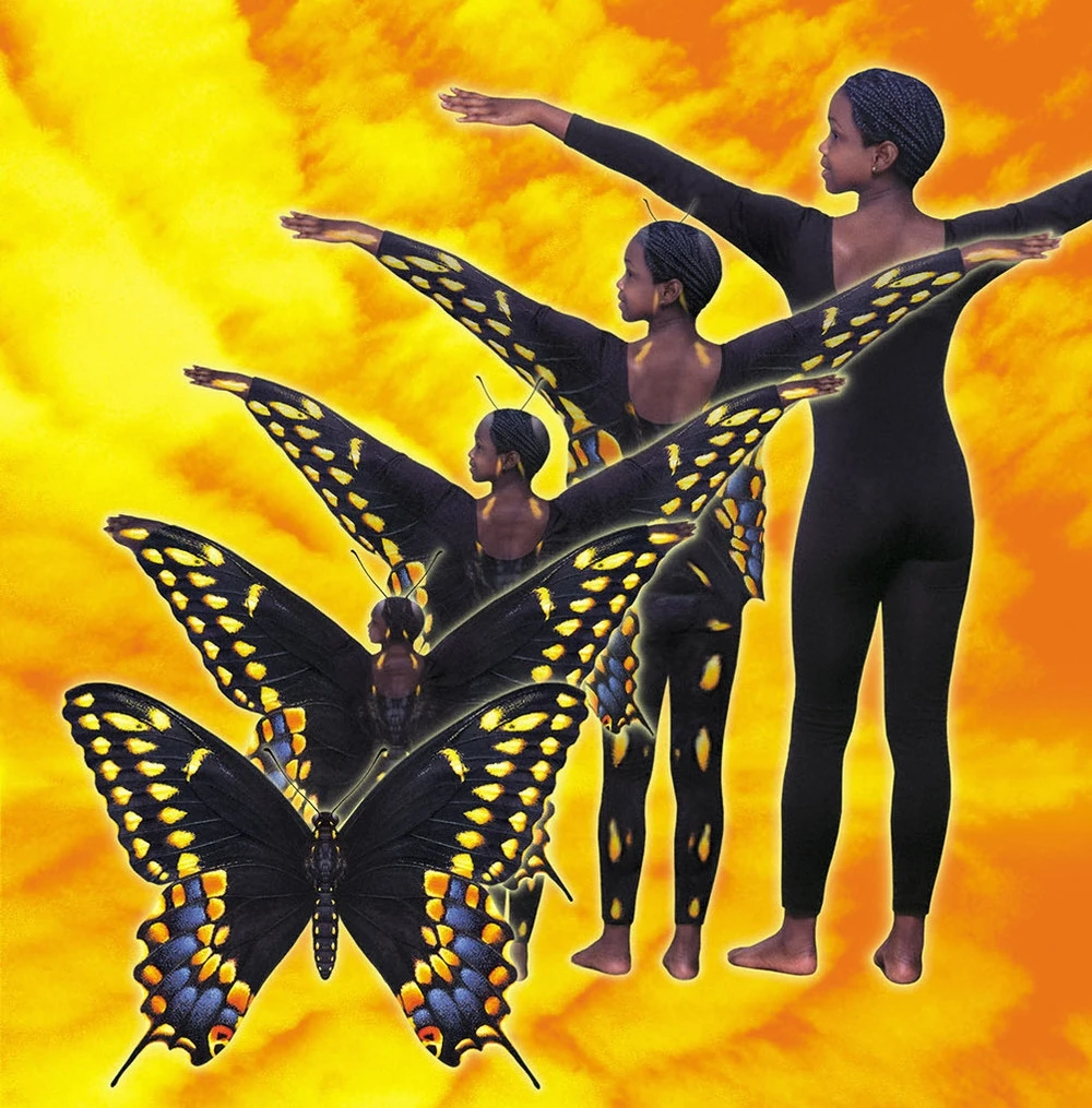 Morphing Outfit | Seerowpedia | Fandom