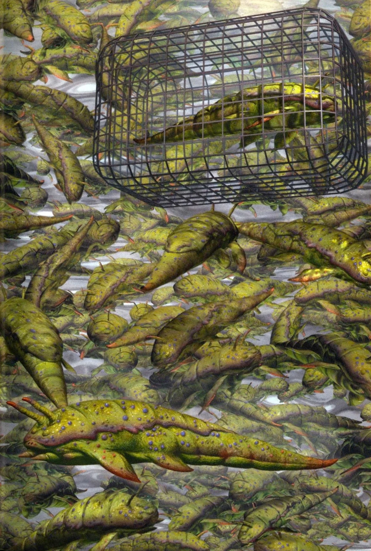 Yeerk | Gallery | Seerowpedia | Fandom