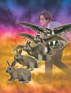 Morphing | Seerowpedia | Fandom