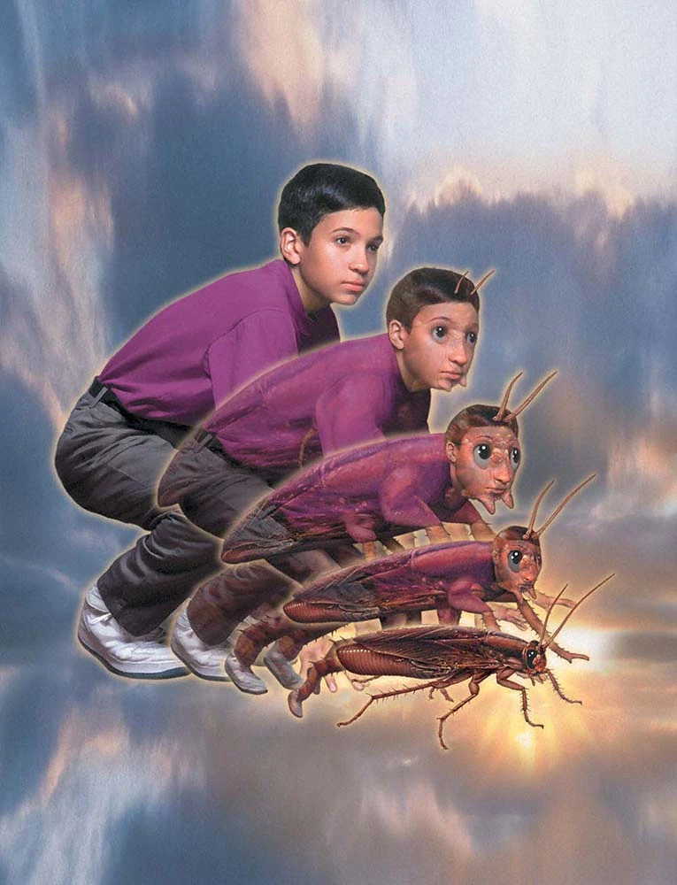 Cockroach | Seerowpedia | Fandom