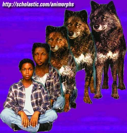 Animorphs Cassie Wolf