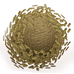 Sand Circle | Animyst Wiki | Fandom