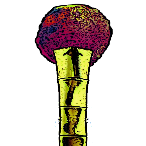 Sap Branch | Animyst Wiki | Fandom