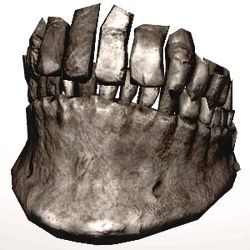 Teeth | Animyst Wiki | Fandom