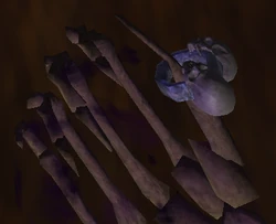 Cursed Ring | Animyst Wiki | Fandom