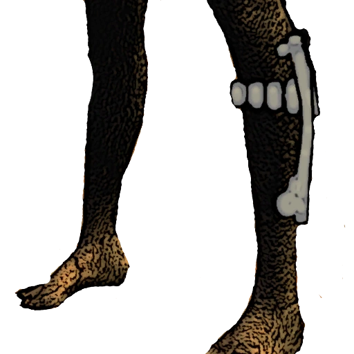 Cursed Splint | Animyst Wiki | Fandom