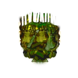 Life Seed | Animyst Wiki | Fandom