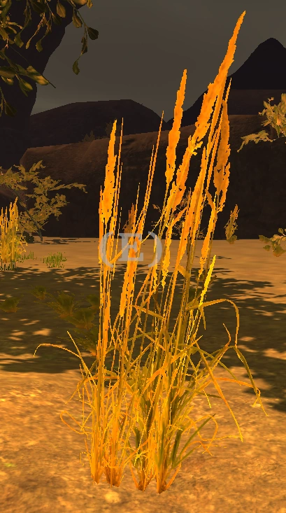 Reeds | Animyst Wiki | Fandom