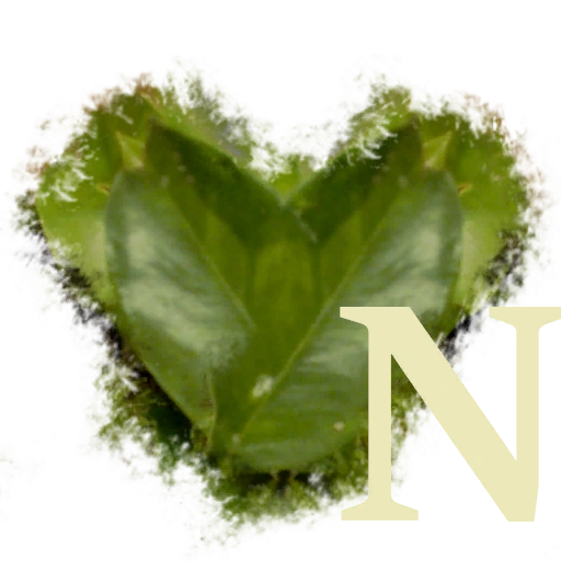 Nectar Plant | Animyst Wiki | Fandom