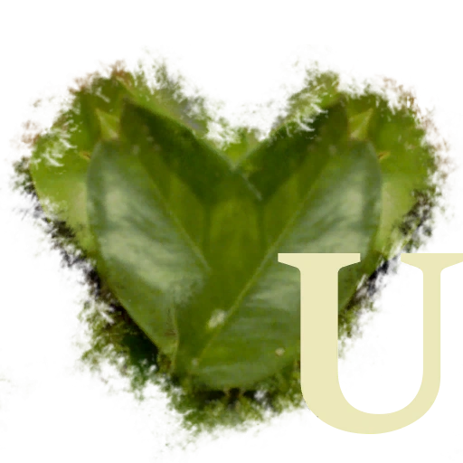 Underbrush Bush | Animyst Wiki | Fandom