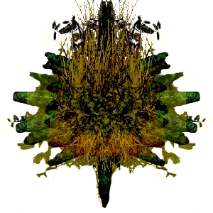 Pestilence | Animyst Wiki | Fandom