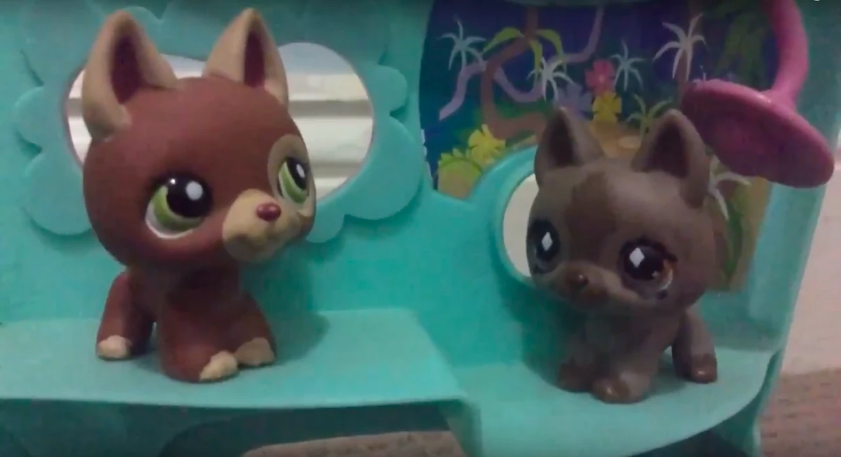 LPS: Apartment Life | Anlpsgirl Wiki | Fandom