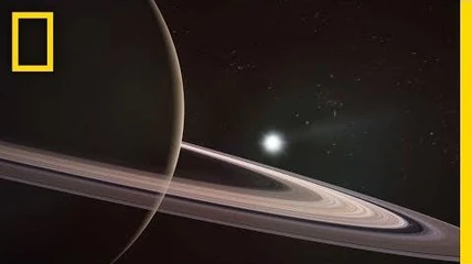 Julius Zebra Studying Saturn | Anna the Orangutan and Leo and friends ...