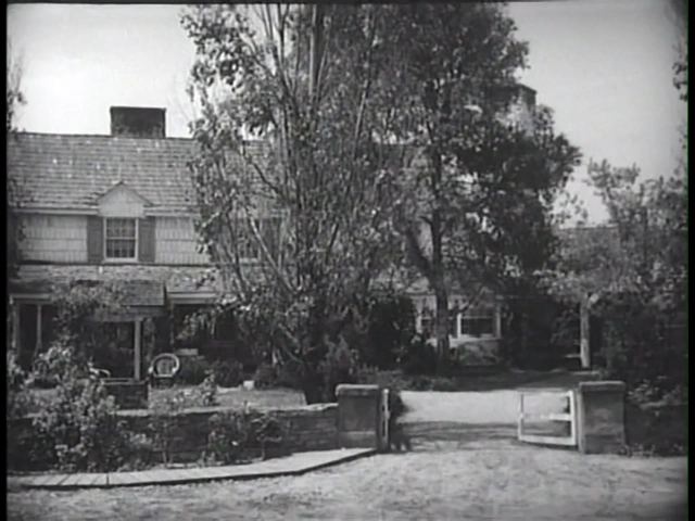 Windy Willows | Anne Shirley Wiki | Fandom