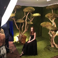 Anne (TV series) | Anne with an E Wiki | Fandom