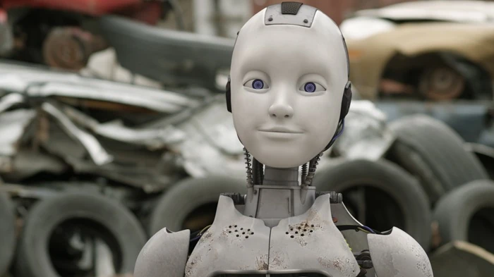 PAL | Annedroids Wikia | Fandom