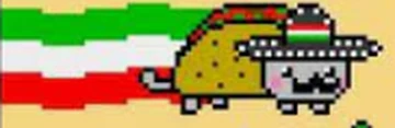 Taco Nyan Cat