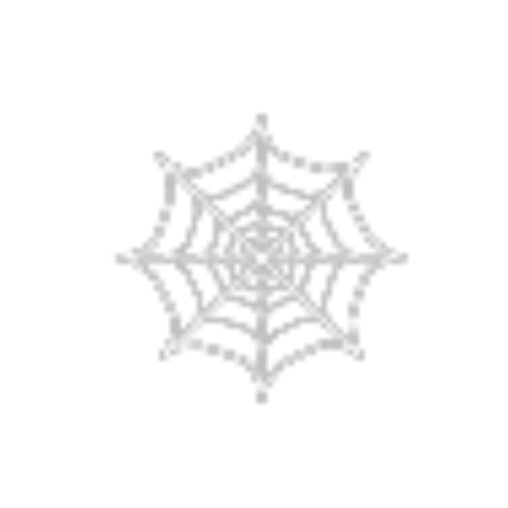 Spiderweb | Annelids Wiki | Fandom
