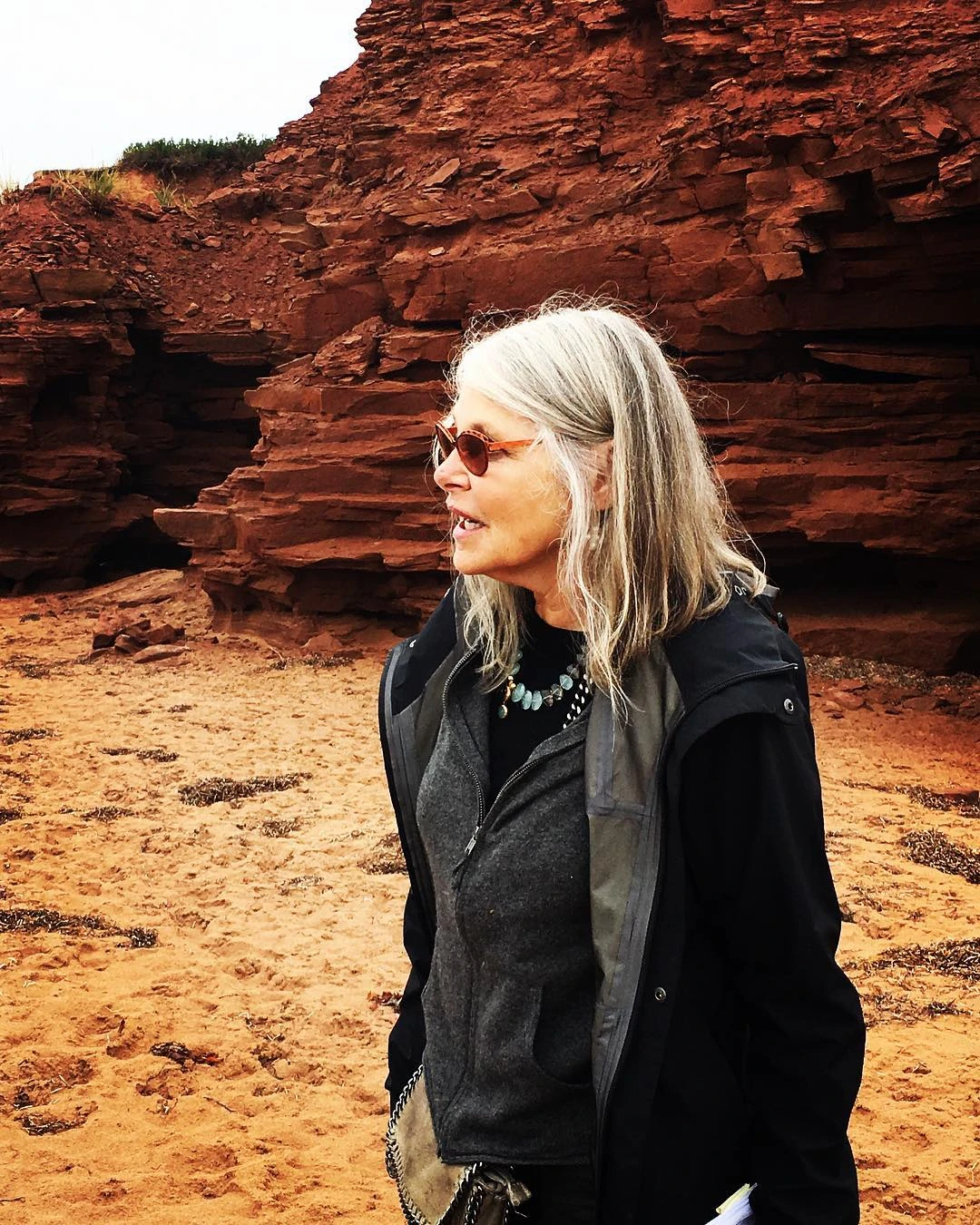 Helen Shaver | Anne Shirley Wiki | Fandom