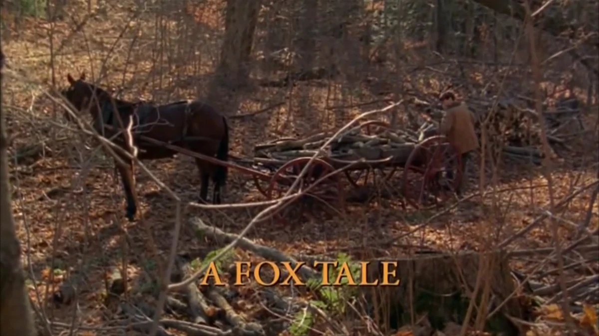 "A Fox Tale" | Anne of Green Gables Wiki | Fandom