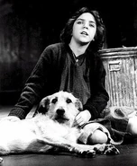 Sandy | Annie Wiki | Fandom