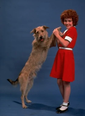 Annie Bennett | Annie Wiki | Fandom