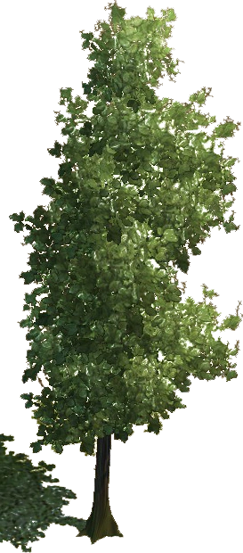 Tree | Anno 1404 Wiki | Fandom