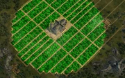 Building layout strategies | Anno 1404 Wiki | Fandom