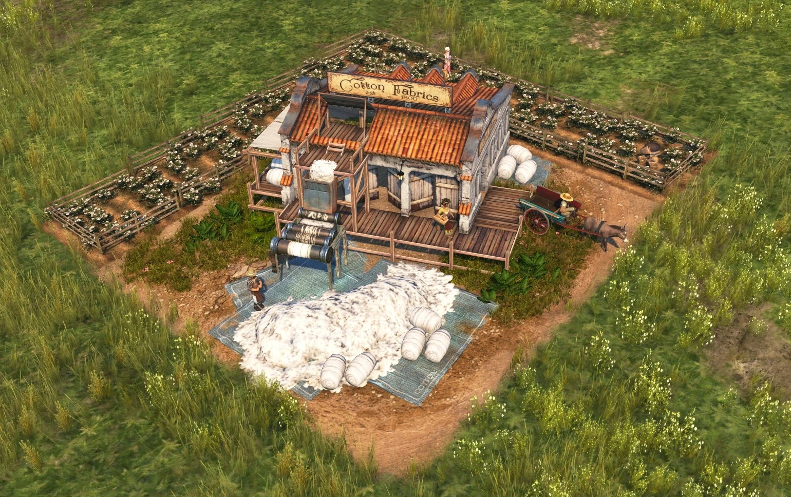 Cotton Plantation Layout