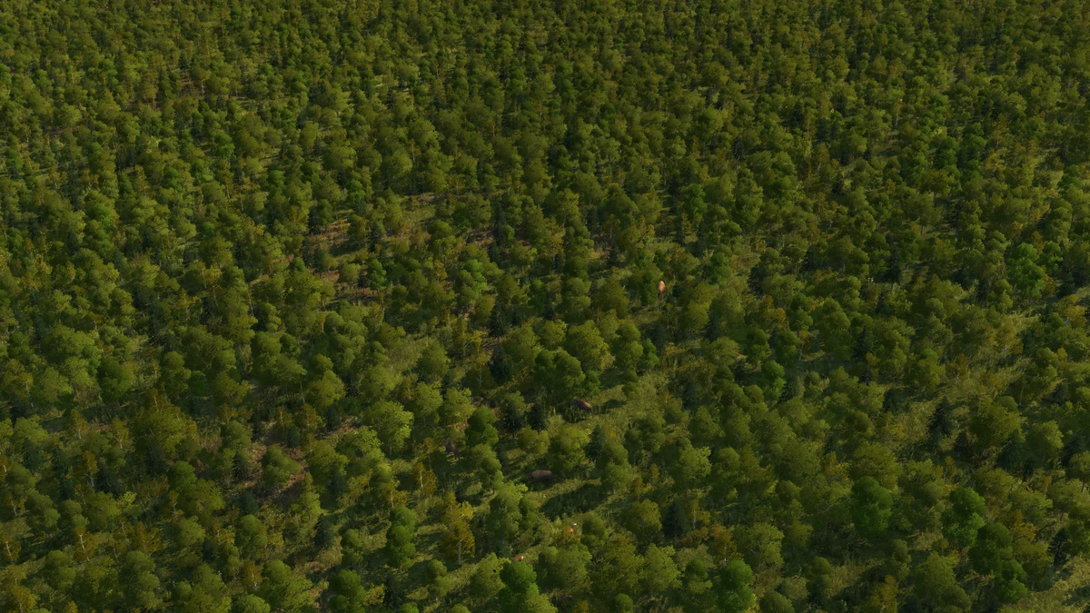 Tree Painters | Anno 1800 Wiki | Fandom