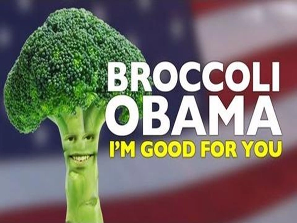 Annoying Orange: Broccoli Obama Presidential Campaign Video | Annoying ...