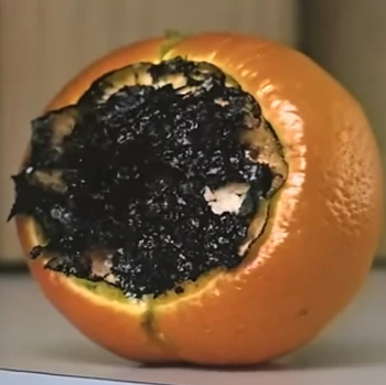 Analog Orange | Annoying Orange Wiki | Fandom