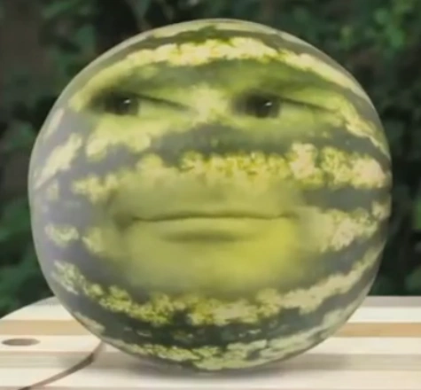 Watermelon (Picnic Massacre) | Annoying Orange Wiki | Fandom