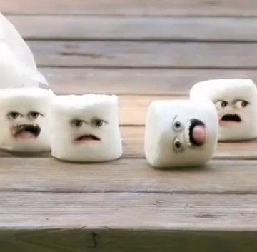 Marshmallow Annoying Orange