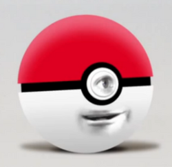 Pokeball Opening