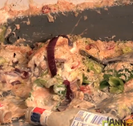 Daneboe's Salad | Annoying Orange Wiki | Fandom