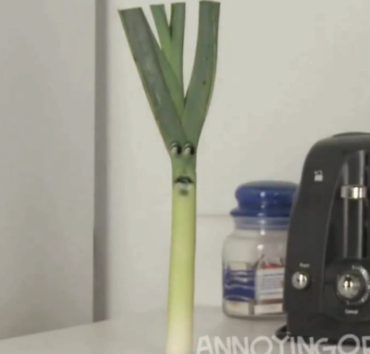 Leek | Annoying Orange Wiki | Fandom