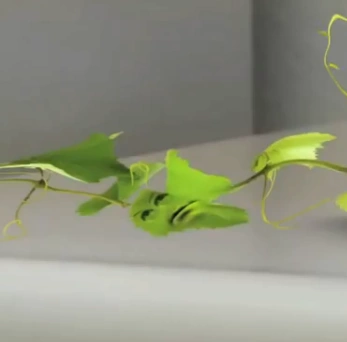 Vine | Annoying Orange Wiki | Fandom