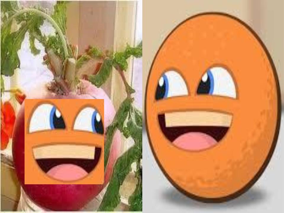 Annoying Orange Topics Annoying Orange Animated Wikia Fandom