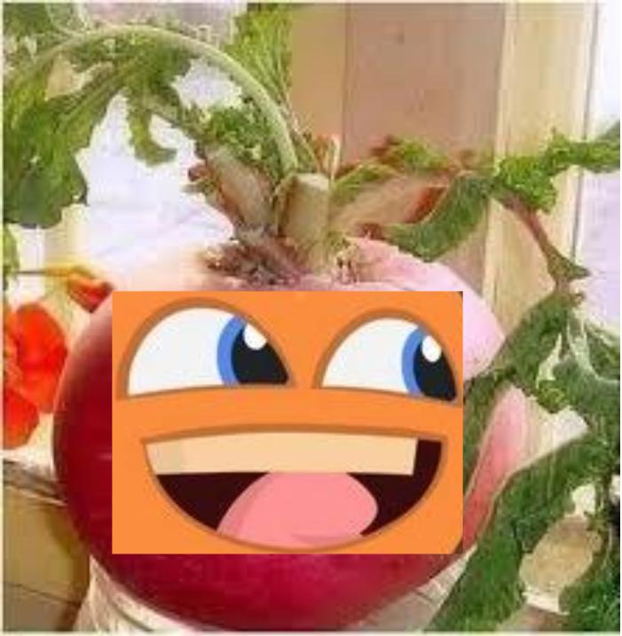 Radish | Annoying Orange Animated Wikia | Fandom Radish | Annoying Orange Animated Wikia | Fandom