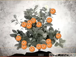 Orange Tree | Annoying Orange Animated Wikia | Fandom