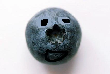 Blueberry | Annoying Orange Fanon Wiki | Fandom